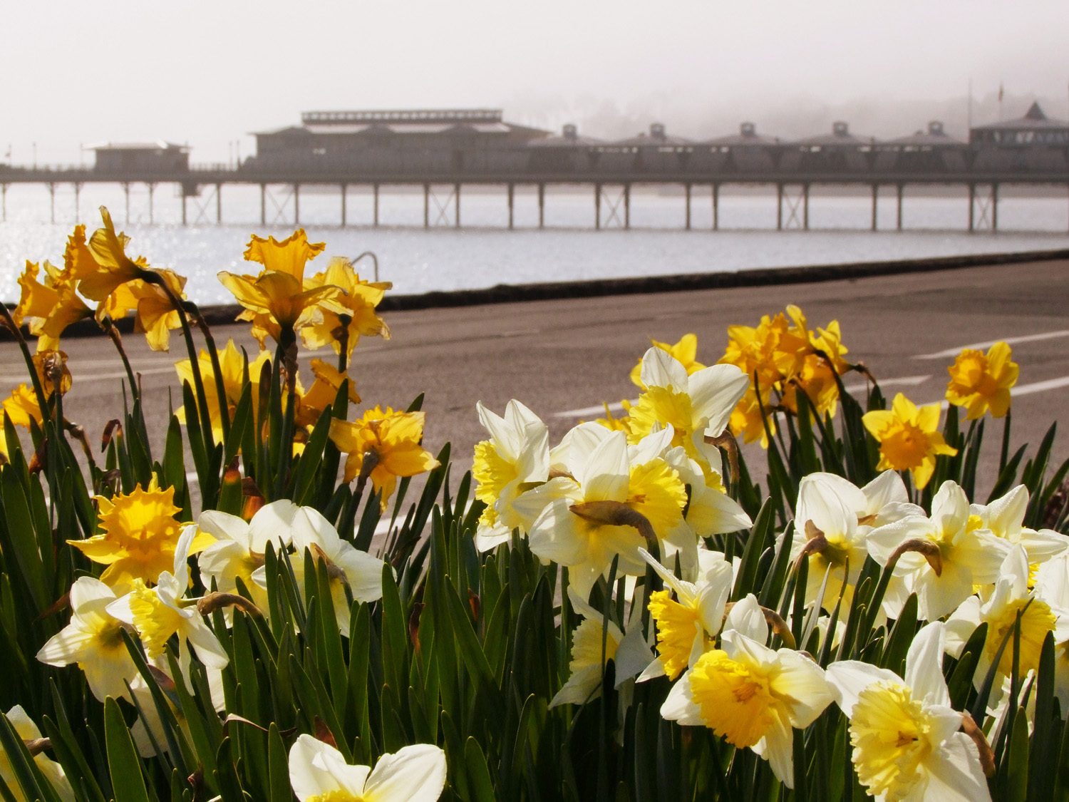 Accommodation For People On Business In Torquay Short Breaks In Torquay accommodation-for-people-on-business-in-torquay-short-breaks-in-torquay